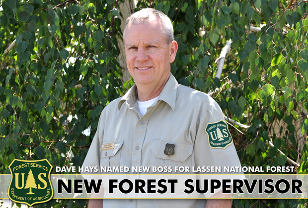 Dave Hays Named New Supervisor for Lassen National Forest ...